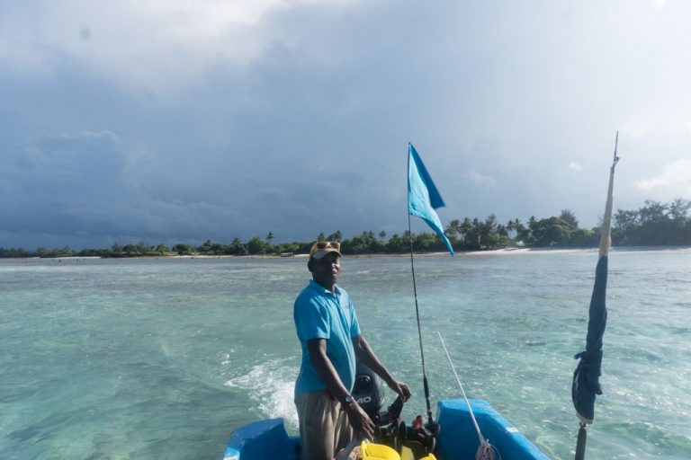 The Ultimate Pemba Island Travel And Diving Guide | Johnny Africa