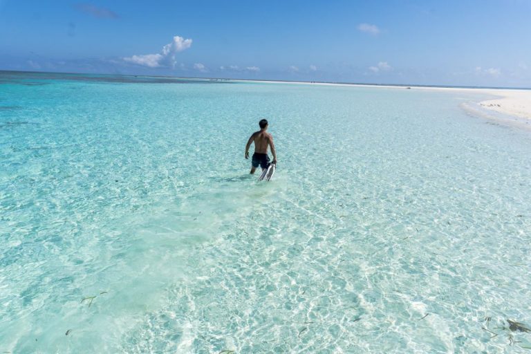 The Ultimate Pemba Island Travel And Diving Guide | Johnny Africa