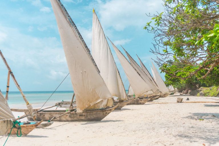 The Ultimate Pemba Island Travel And Diving Guide | Johnny Africa