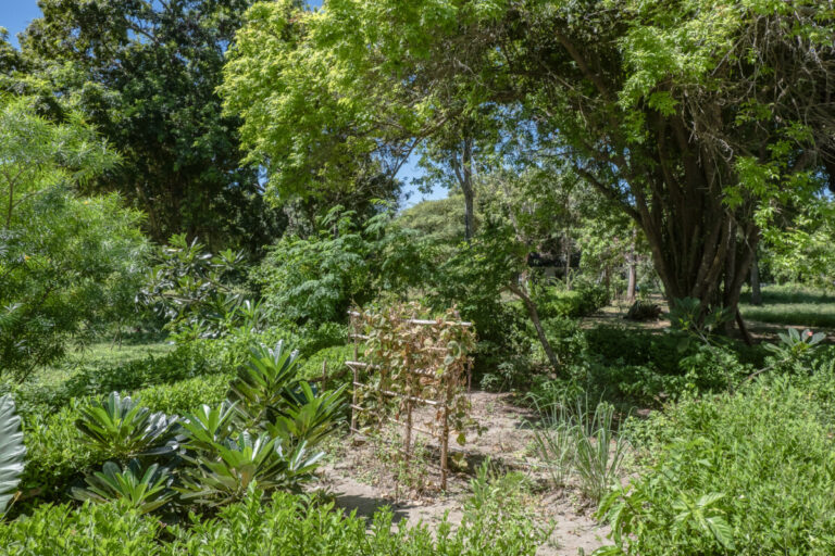 Ultimate Diving And Travel Guide For Moyo and Sumbawa Island, Indonesia ...